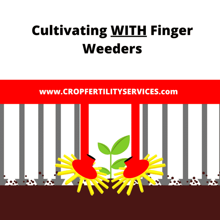 Finger Weeders | For Cultivator | What Are Finger Weeders