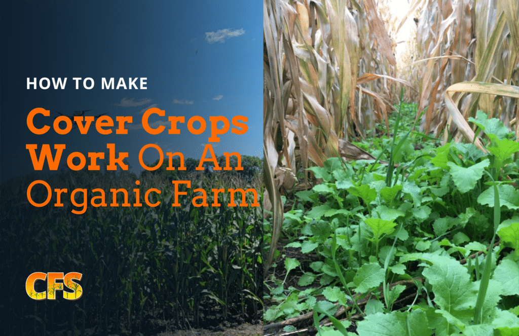 How To Make Cover Crops More Effective Organic Farming