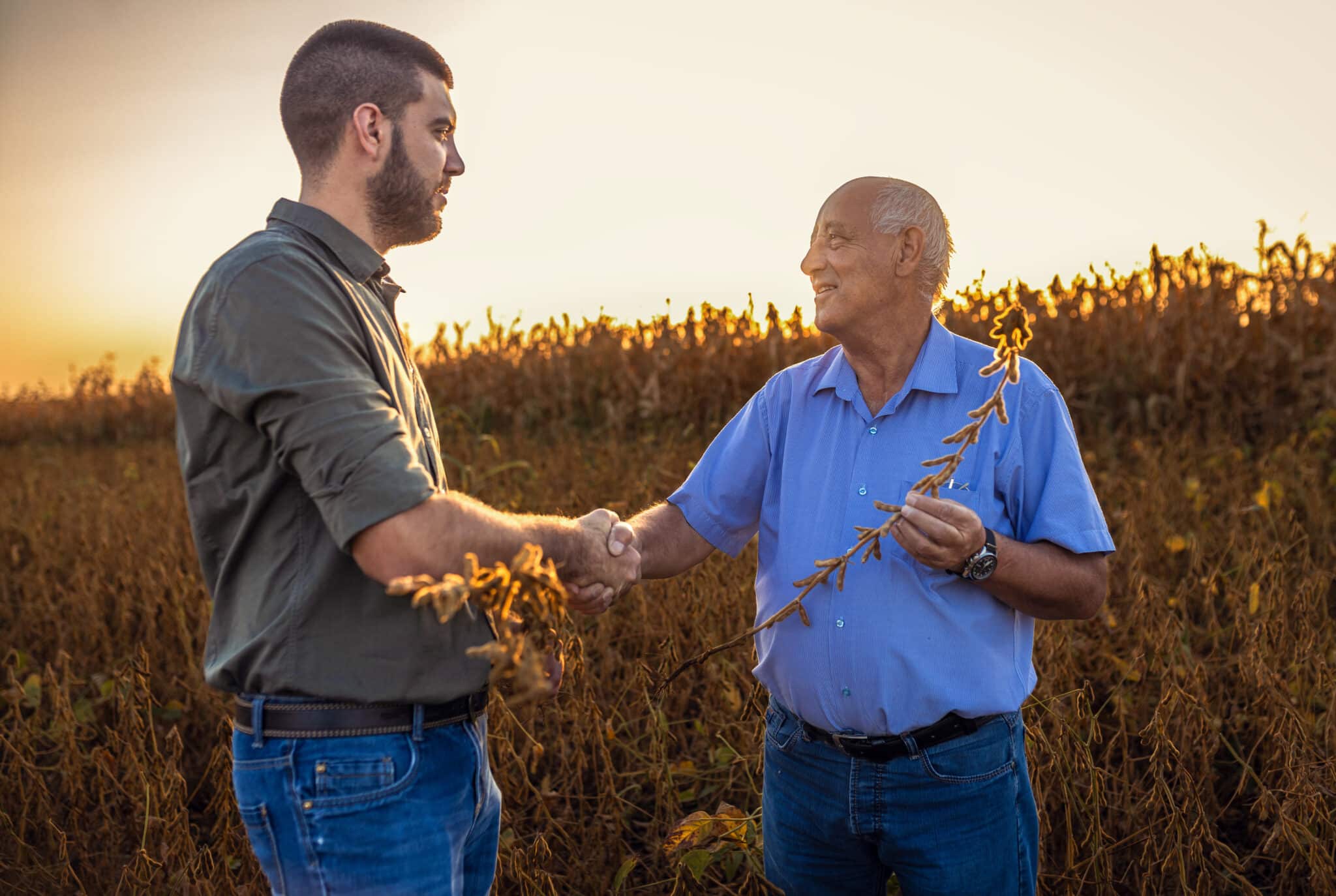 #1 Reliable Ag Trucking & Hauling Solutions For Your Farm